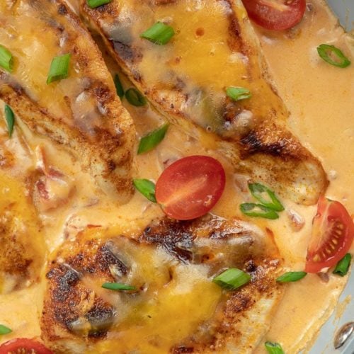 Cheesy Rotel Chicken - Maebells