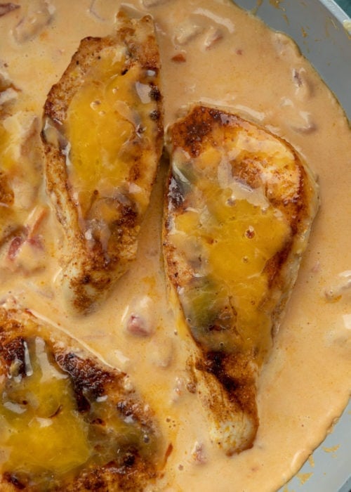 Cheesy Rotel Chicken - Maebells