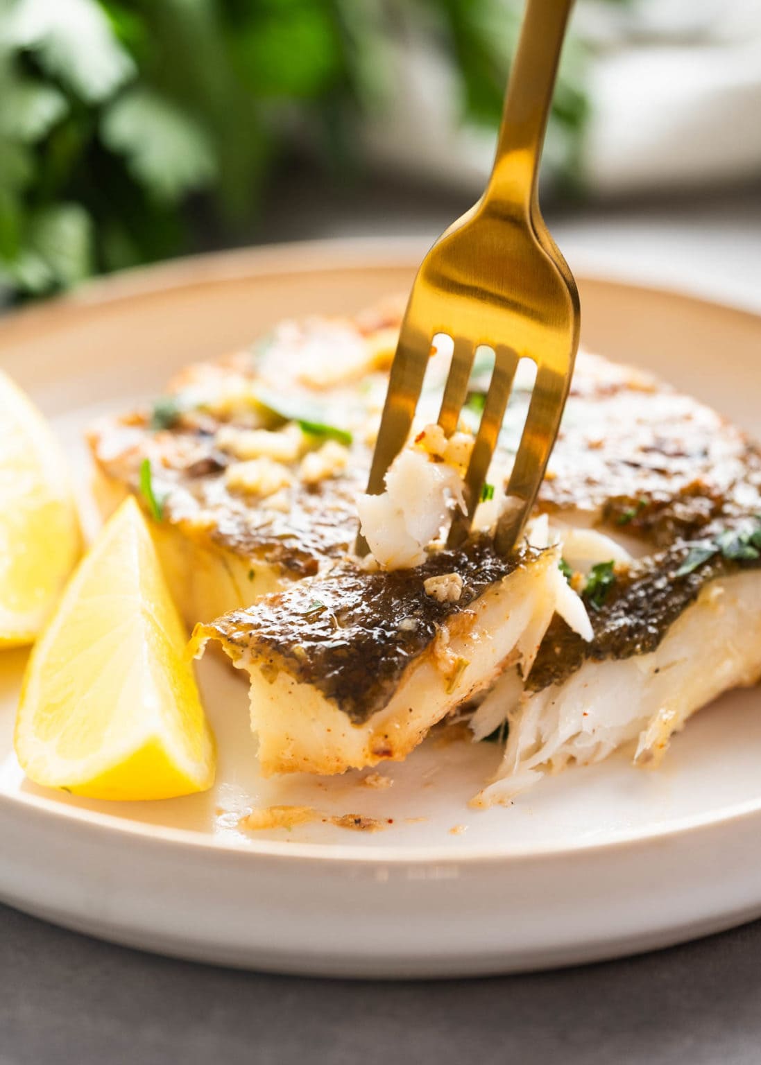 Pan Fried Garlic Butter Cod - Maebells